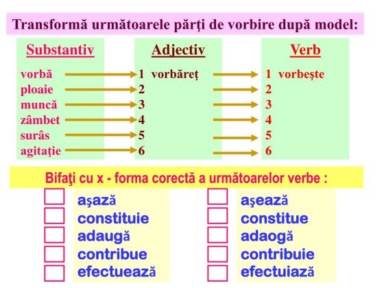 Verbul în limba română: conjugări și exemple practice | DYI